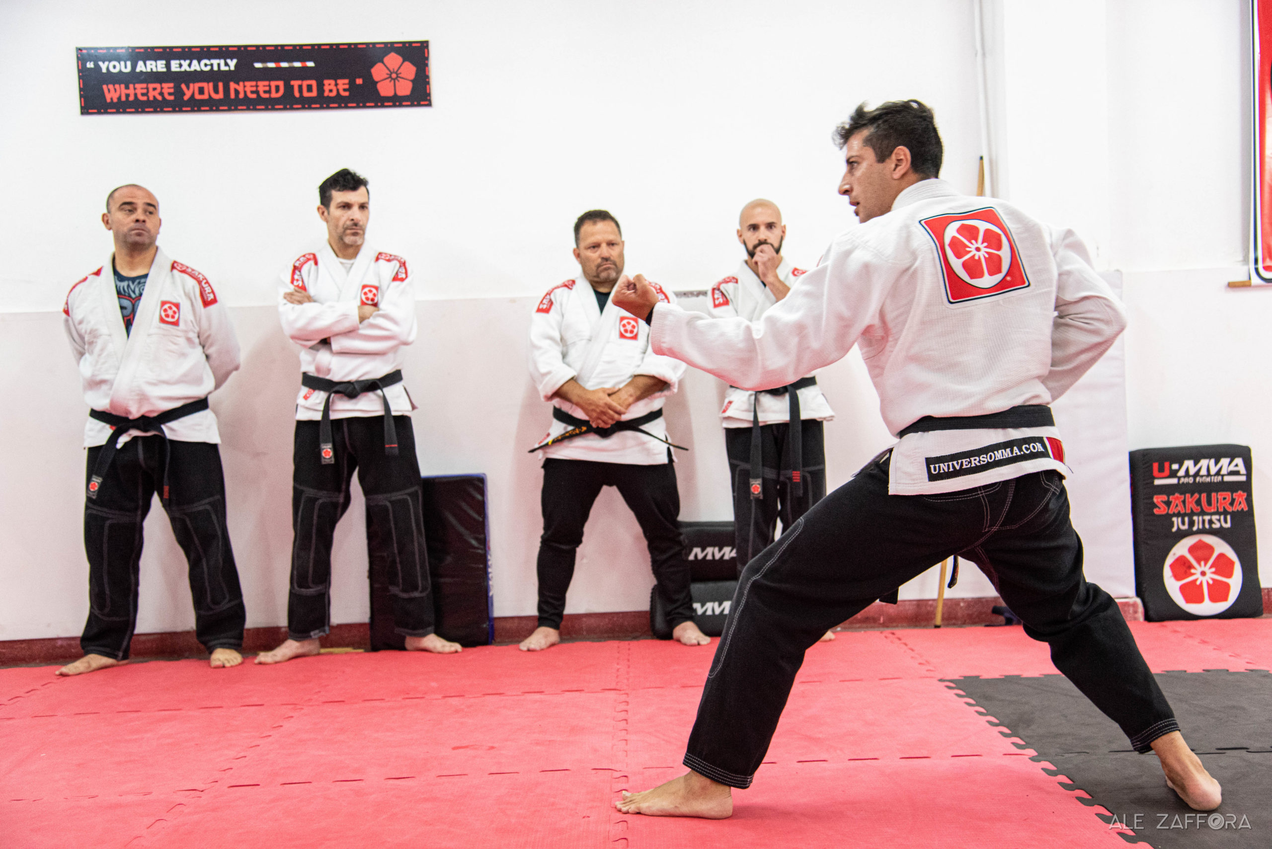 Sakura Academy Ends 2019 With it’s Annual End of Year Belt Ceremony ...