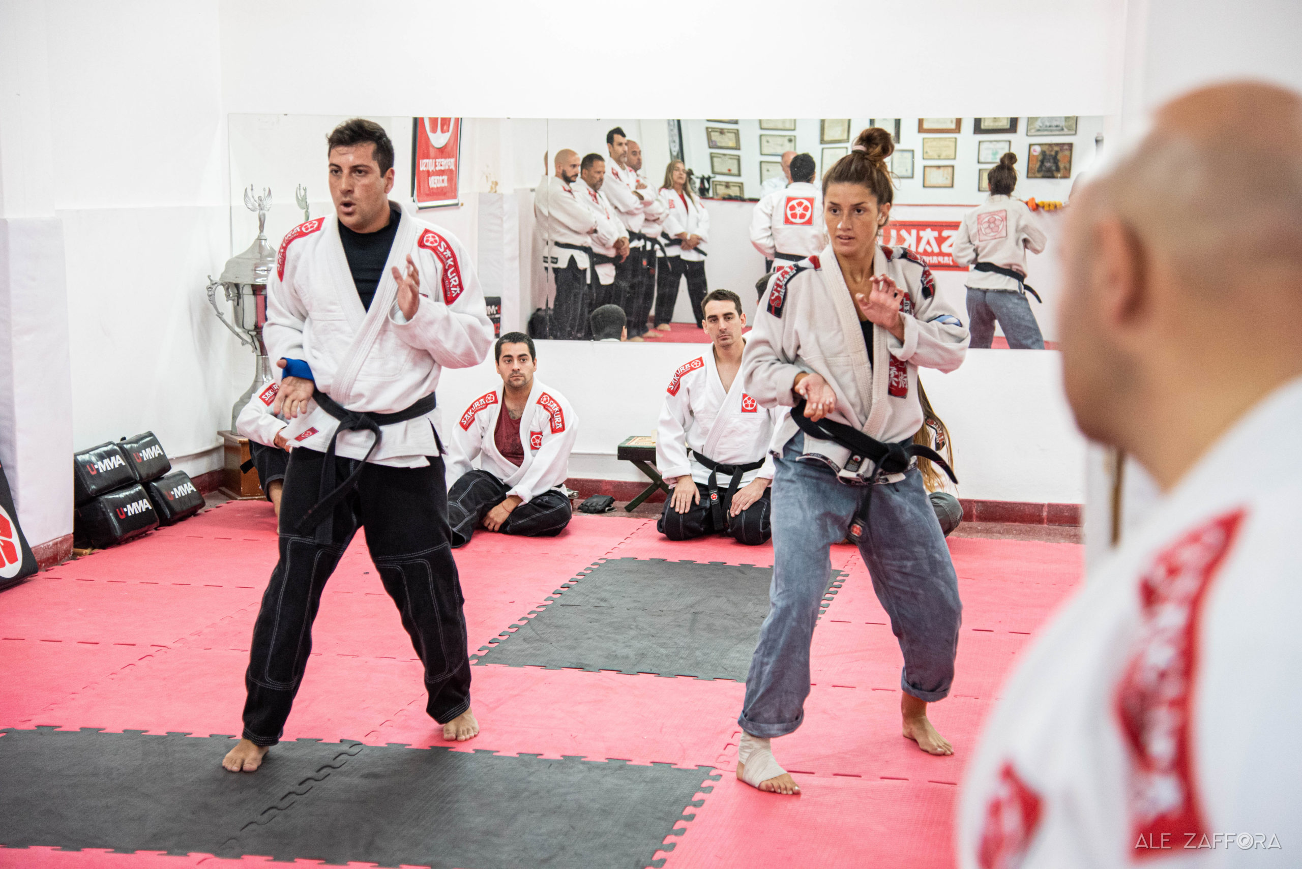 Sakura Academy Ends 2019 With it’s Annual End of Year Belt Ceremony ...
