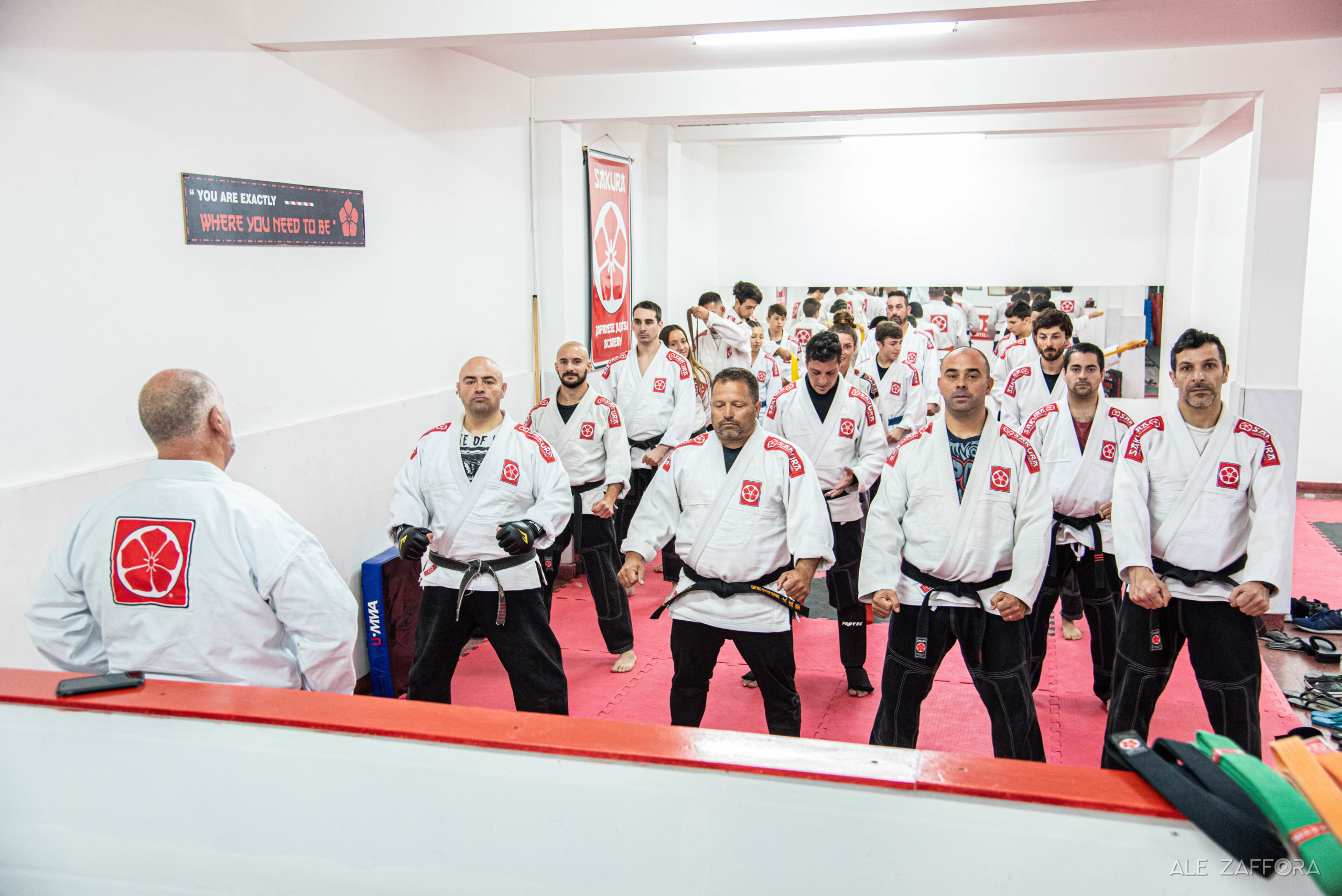 Sakura Academy Ends 2019 With it’s Annual End of Year Belt Ceremony ...