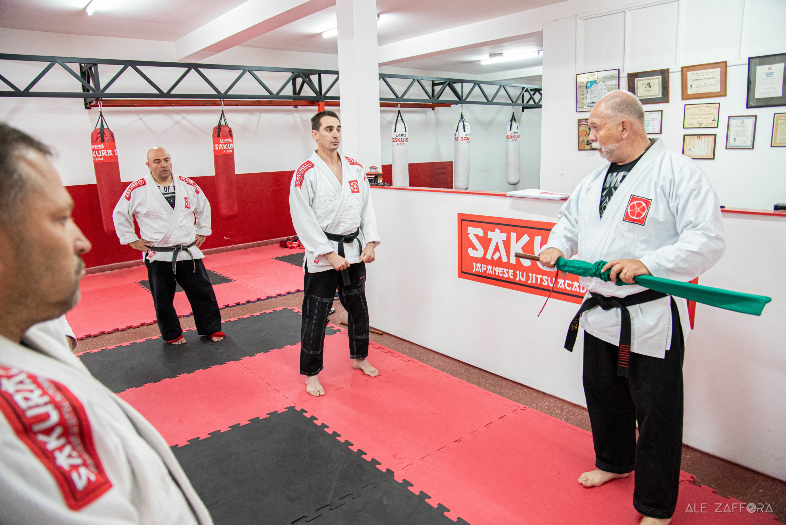 Sakura Academy Ends 2019 With it’s Annual End of Year Belt Ceremony ...